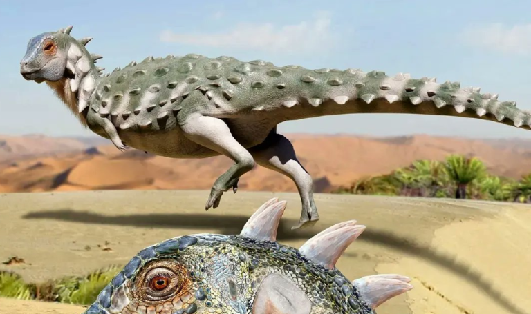 Hallan el primer dinosaurio bípero y acorazado de Sudamérica en la ...